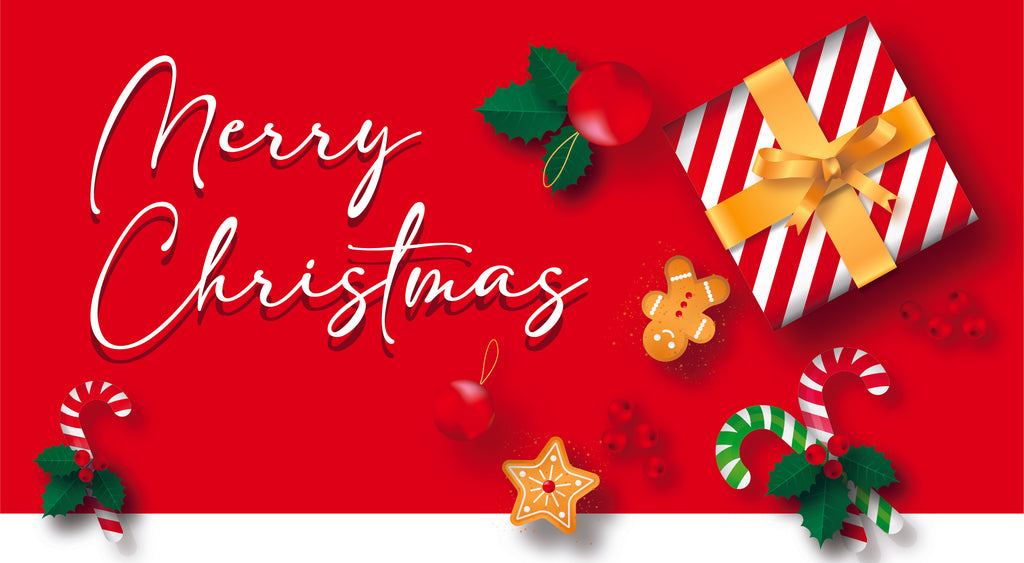 Christmas – Aviva Wholesale